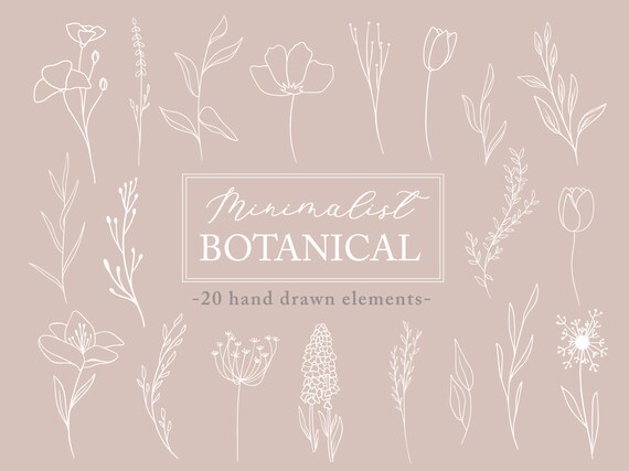 Botanical Clip Art Botanical Elements Line Art Hand Drawn | Etsy
