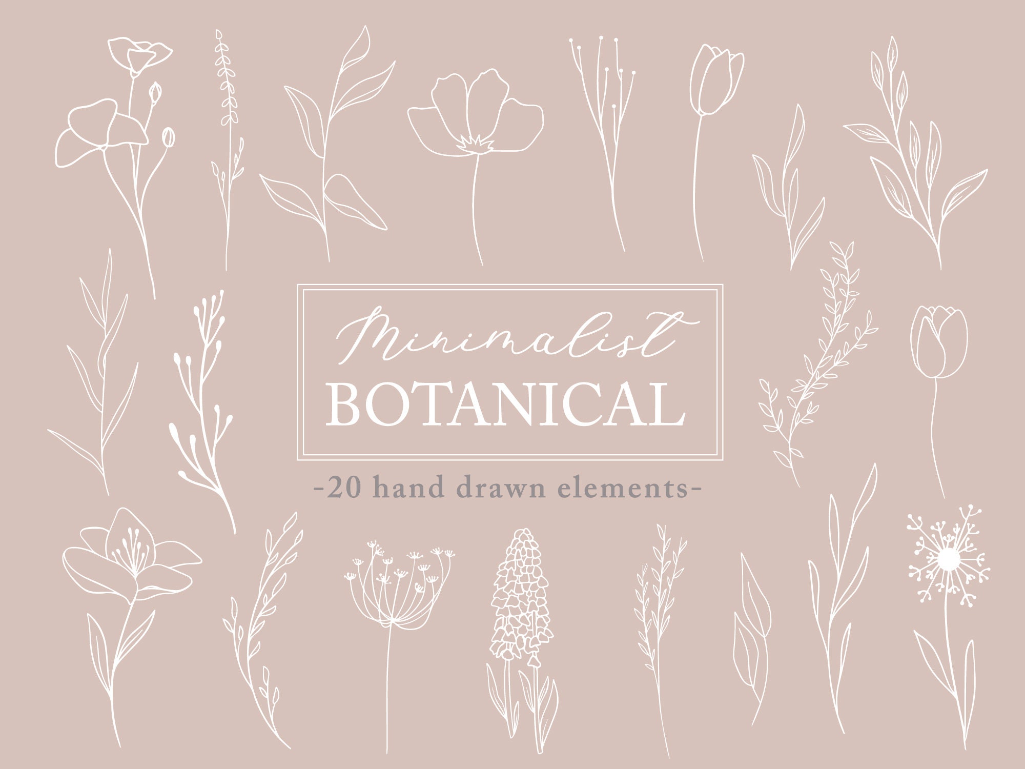 Botanical Clip Art, Botanical Elements, Line Art, Hand Drawn Floral ...