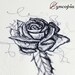 Rose scribble 1318 - Etsy.de