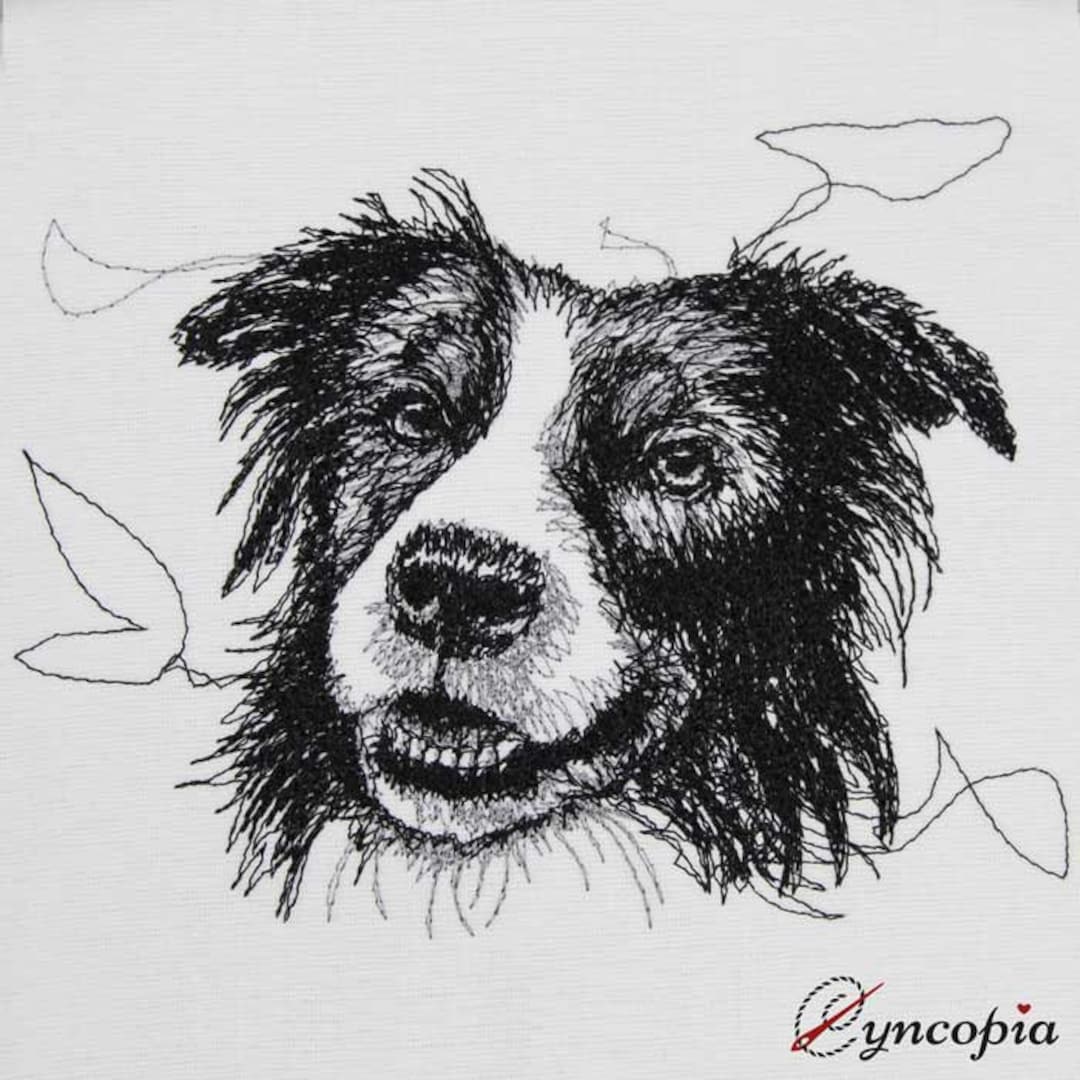 Border Collie Scribble - Etsy