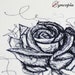 Rose scribble 1318 - Etsy.de