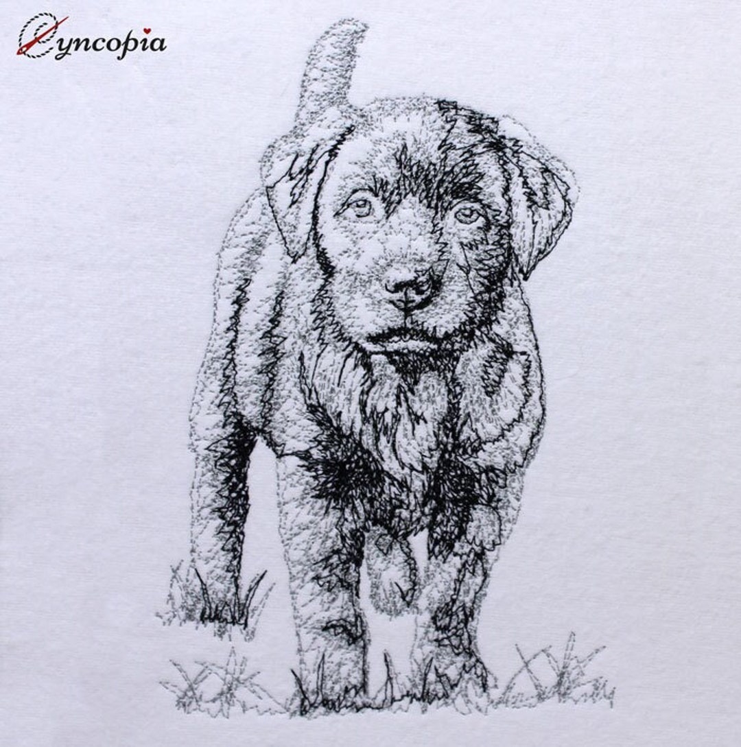 Labrador Puppy Scribble - Etsy