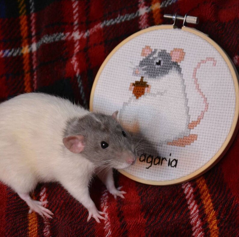 Custom Rat Cross Stitch - Etsy