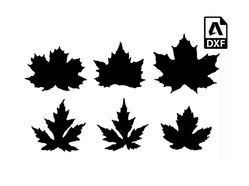 Maple Leaves Drawing in DXF and DWG Format for Laser Cutting - Etsy