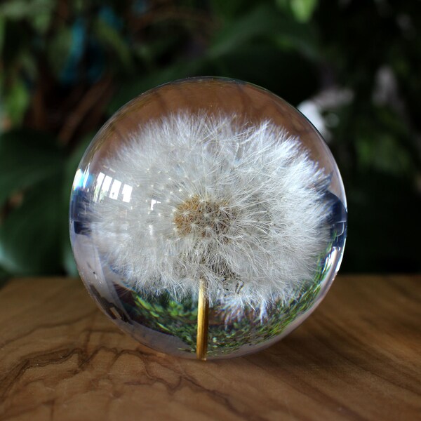 Dandelion Resin - Etsy