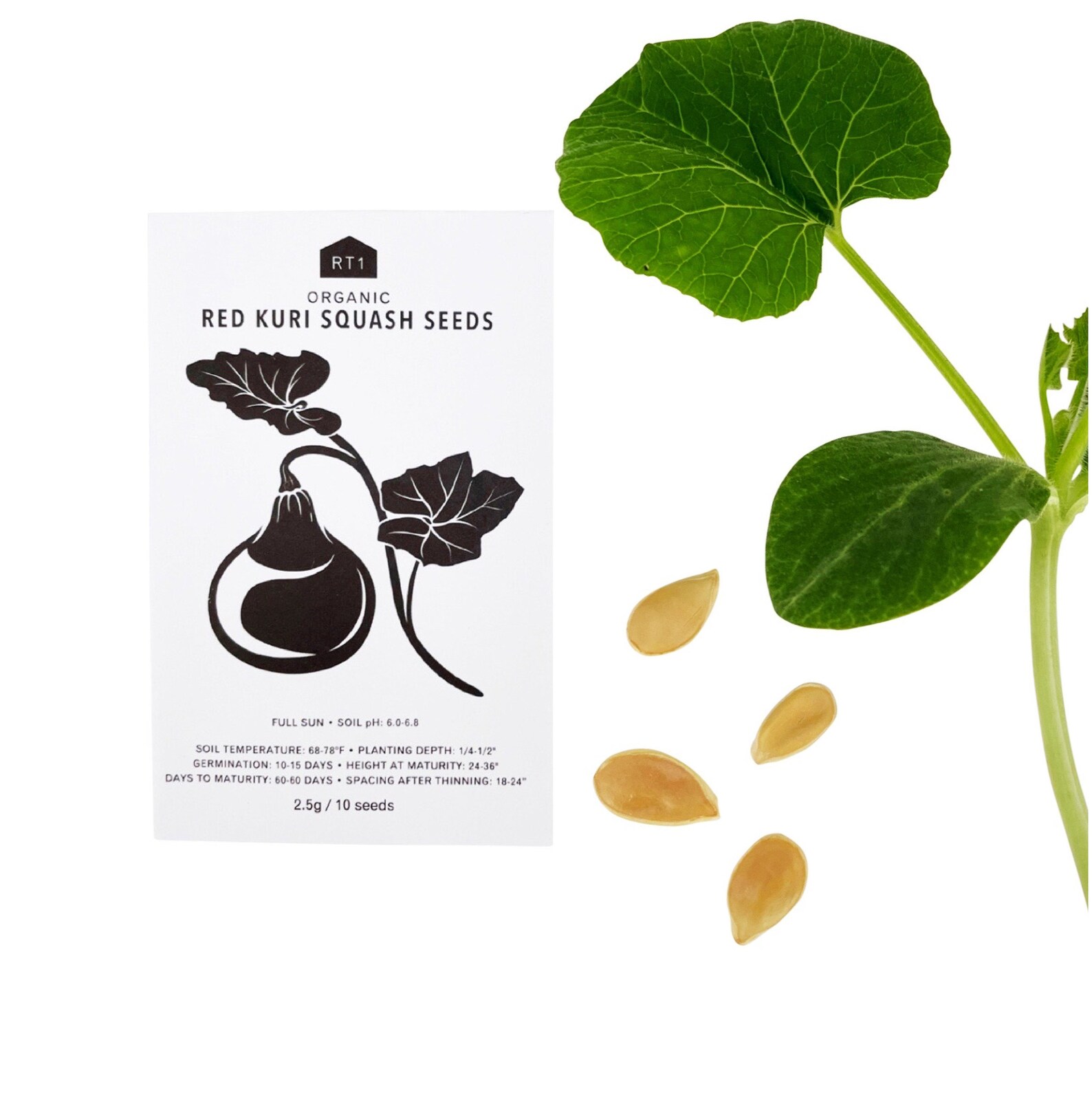 JAPANESE Spring VEGETABLE SEEDS Pack of 5 - Etsy