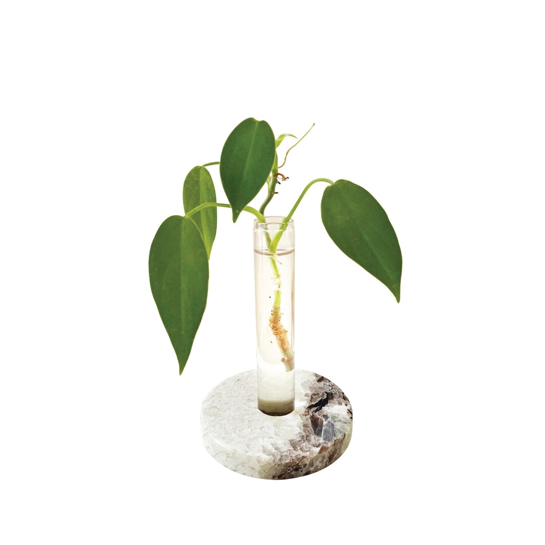 UPCYCLED STONE Prop Disc + Glass Tube - Etsy