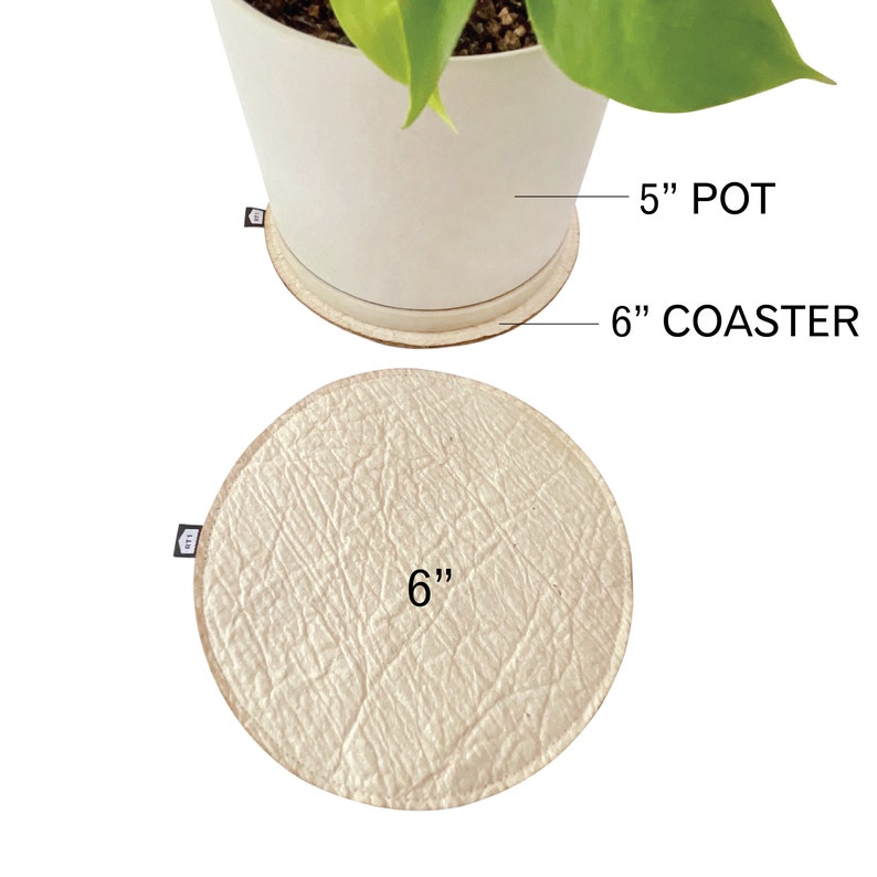 PLANT COASTER - Etsy