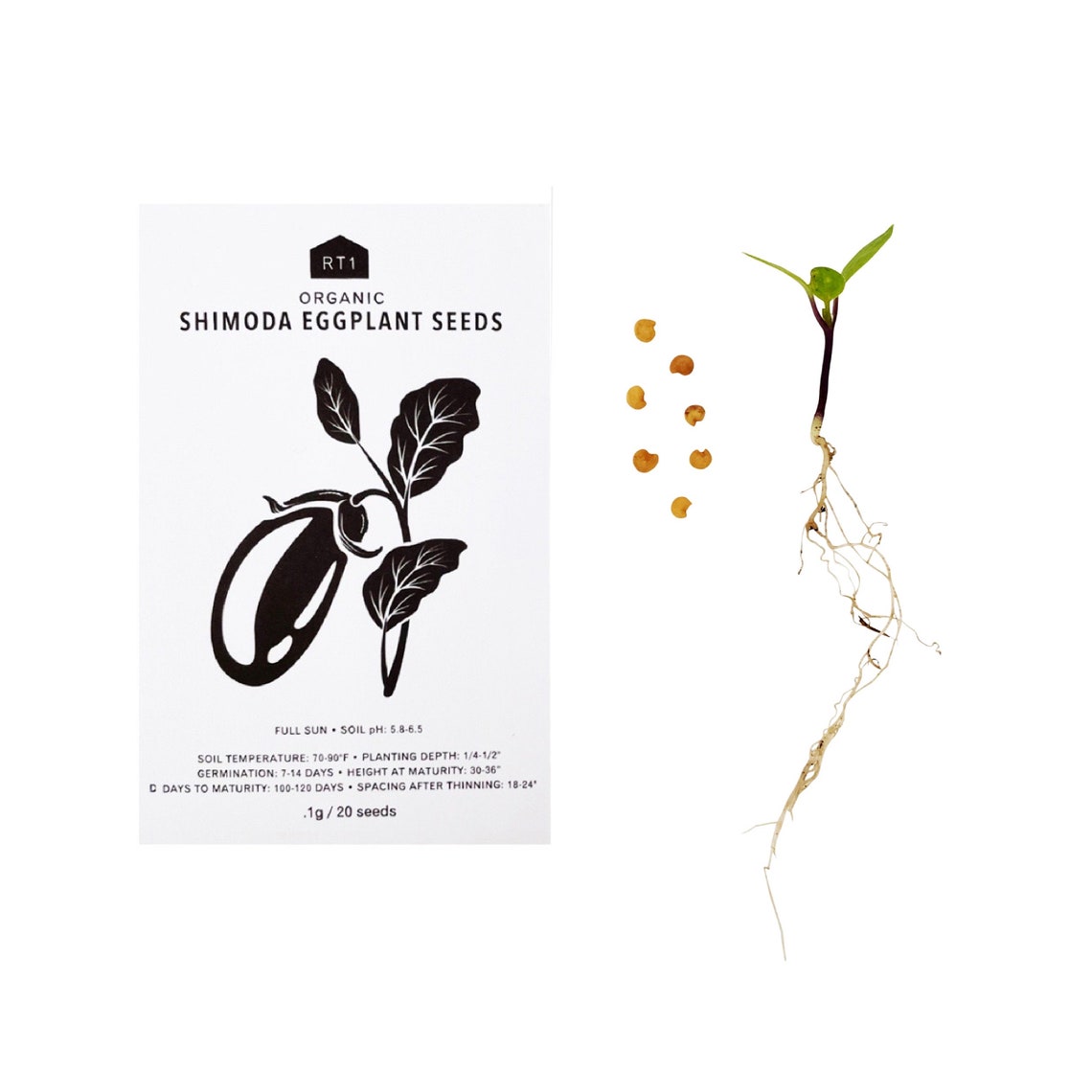 JAPANESE Spring VEGETABLE SEEDS Pack of 5 - Etsy