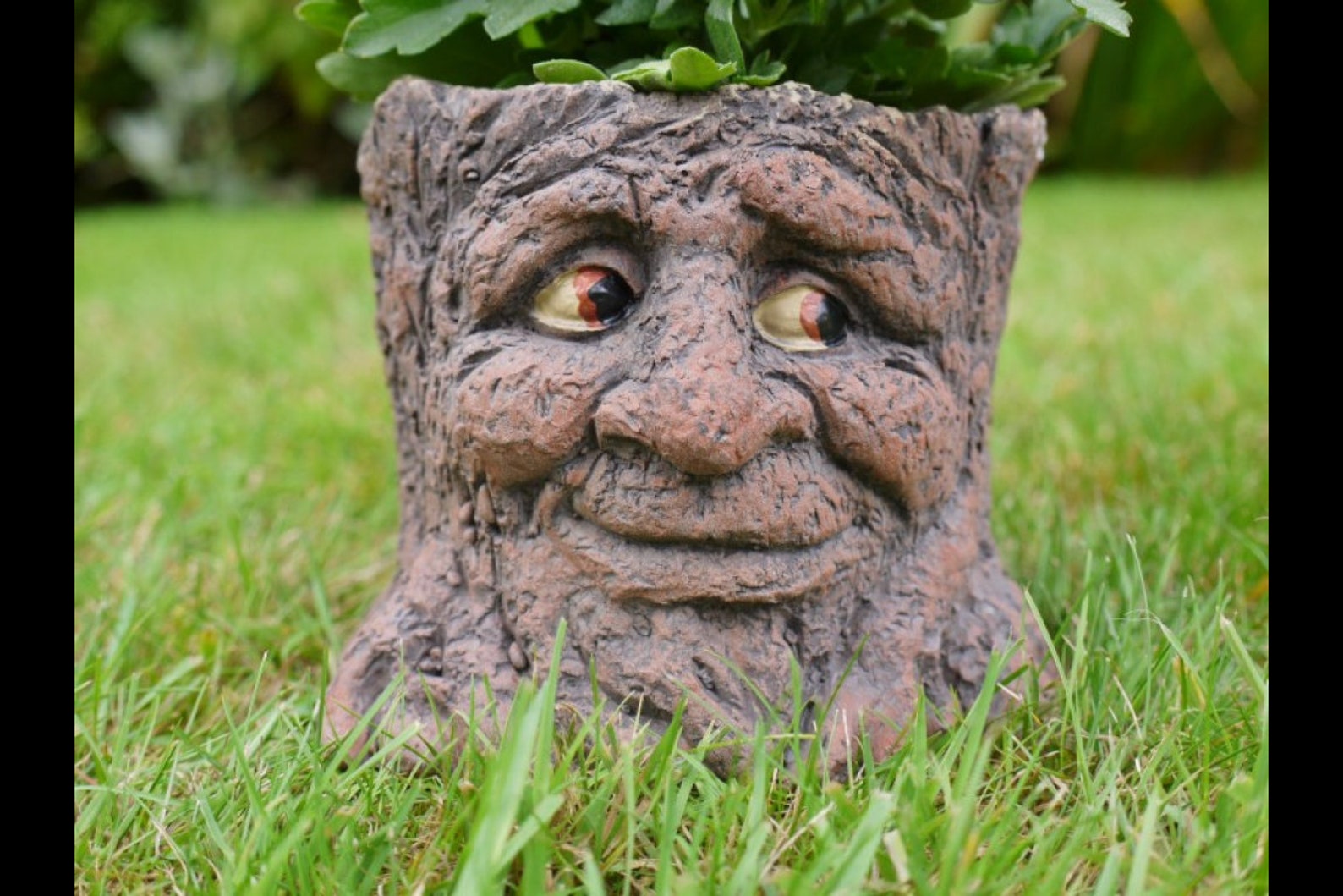Tree Trunk Stump Planters Garden Patio Tree Man Plant Pot ON - Etsy