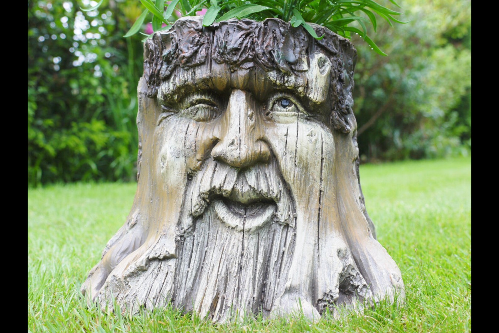Tree Trunk Stump Planters Garden Patio Tree Man Plant Pot ON | Etsy UK