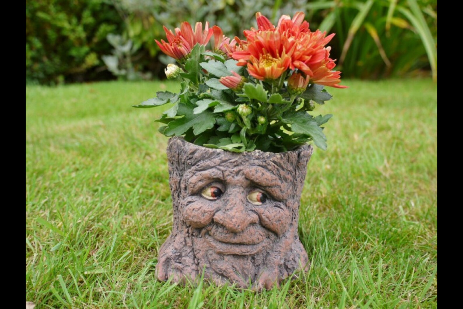 Tree Trunk Stump Planters Garden Patio Tree Man Plant Pot ON | Etsy UK