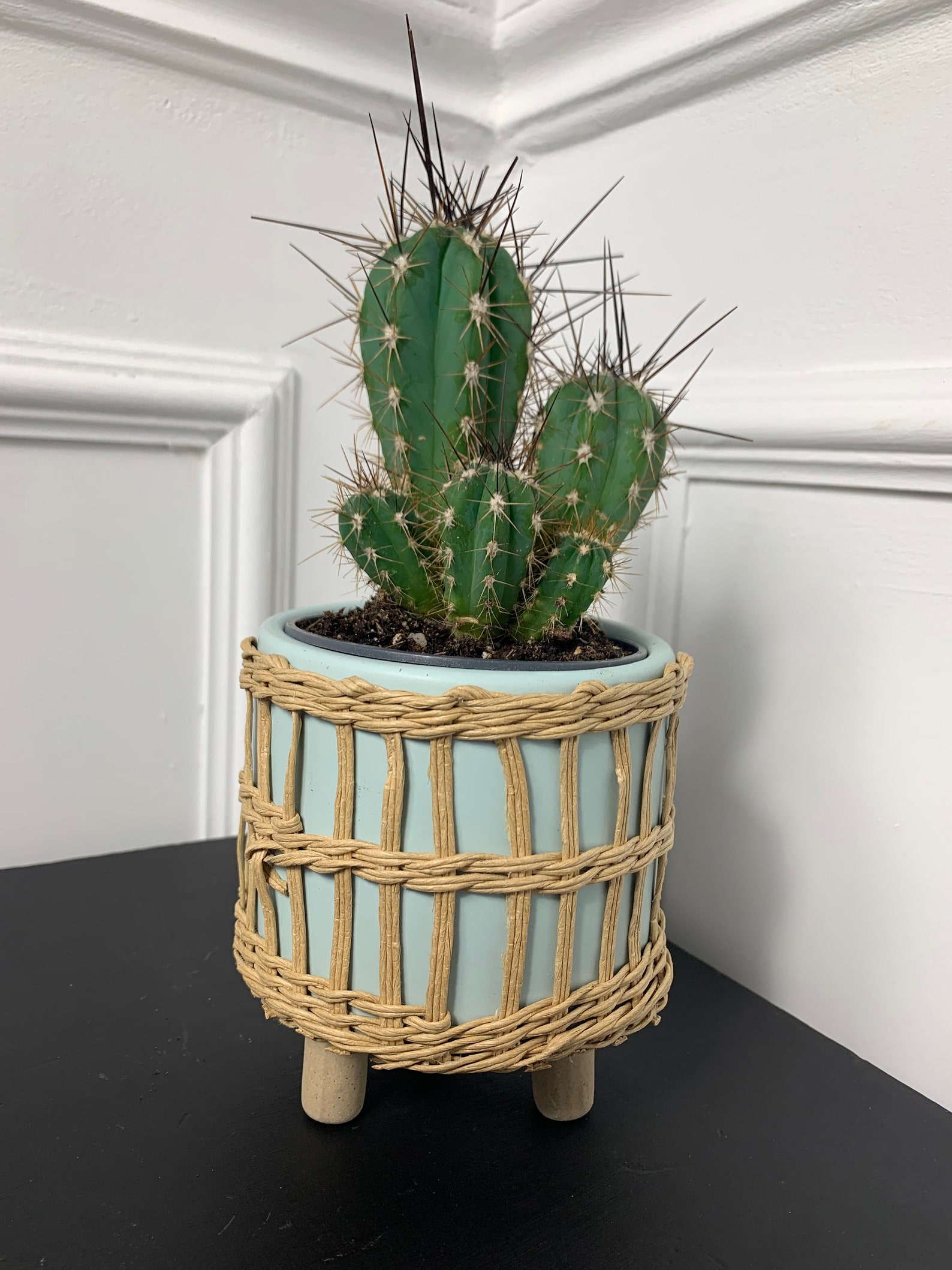 Woven Plant Pot Aqua Mediterranean Planter With Legs ON TREND - Etsy