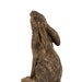 Star Gazing Hare Ornament in Bronze Finish - Etsy UK