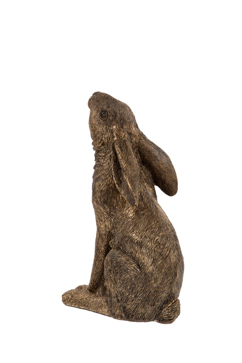 Star Gazing Hare Ornament in Bronze Finish - Etsy UK
