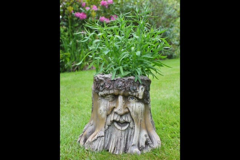 Tree Trunk Stump Planters Garden Patio Tree Man Plant Pot ON | Etsy UK