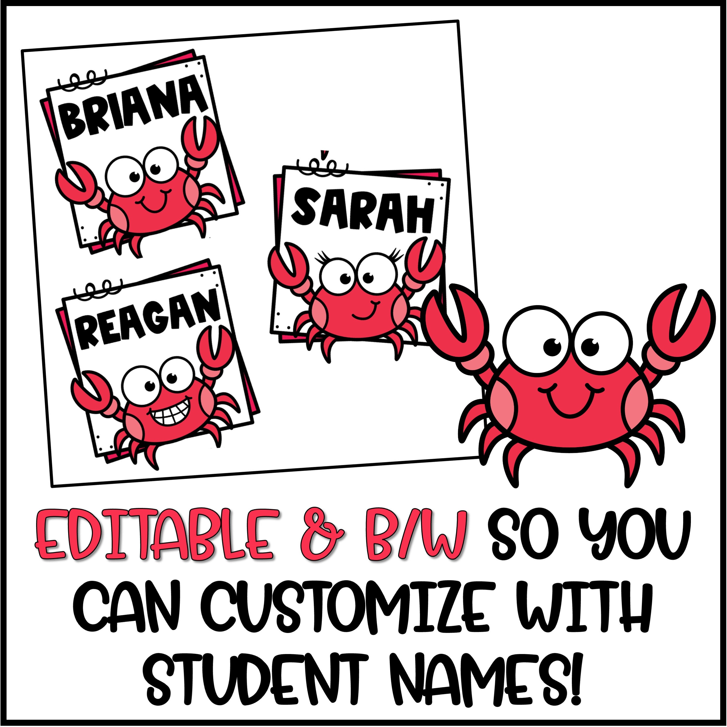 Summer Bulletin Board or Door Decoration Crab - Etsy
