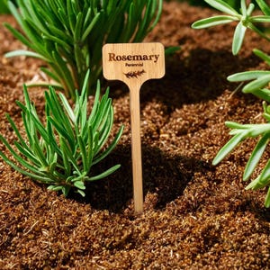 Custom Bamboo Plant Tags Available in 2 Sizes Plant Labels for ...