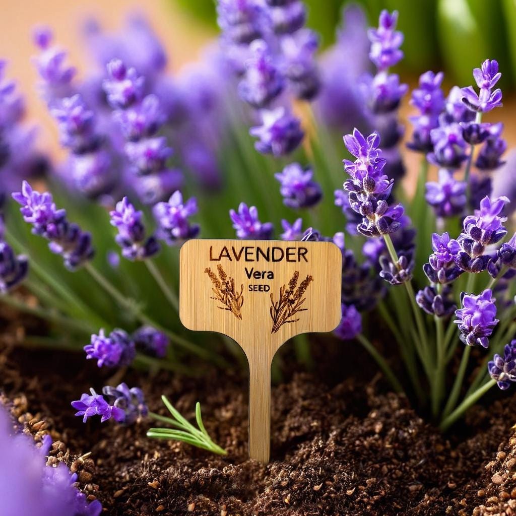 Custom Bamboo Plant Tags Available in 2 Sizes Plant Labels for ...