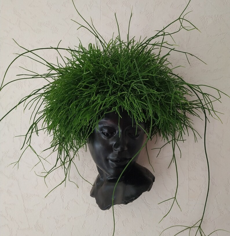 Face Head Planter Wall Planter Woman Vase Pot Succulents Head - Etsy
