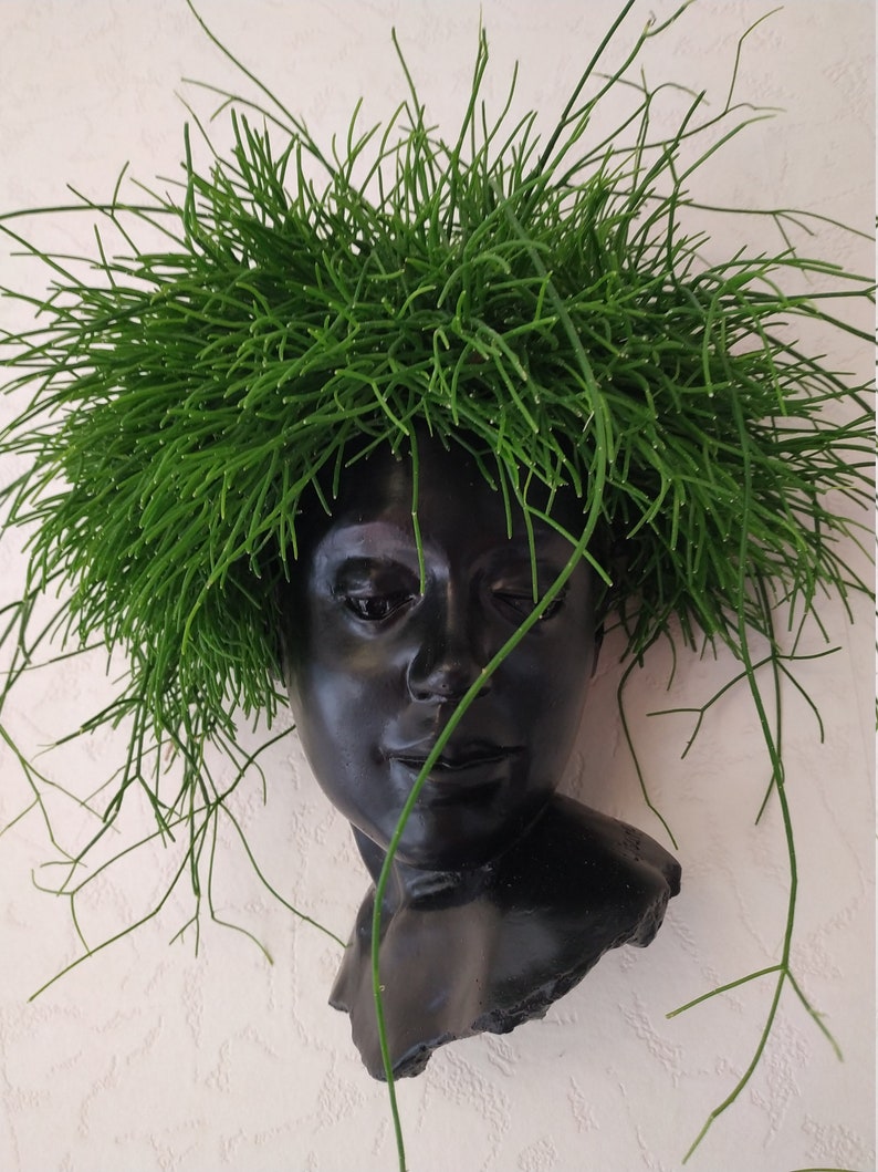 Face Head Planter Wall Planter Woman Vase Pot Succulents Head - Etsy