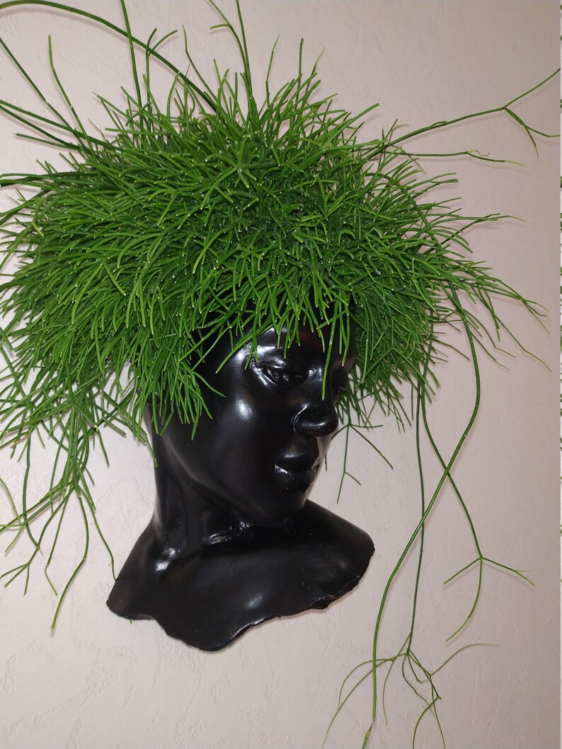 Face Head Planter Wall Planter Woman Vase Pot Succulents Head - Etsy