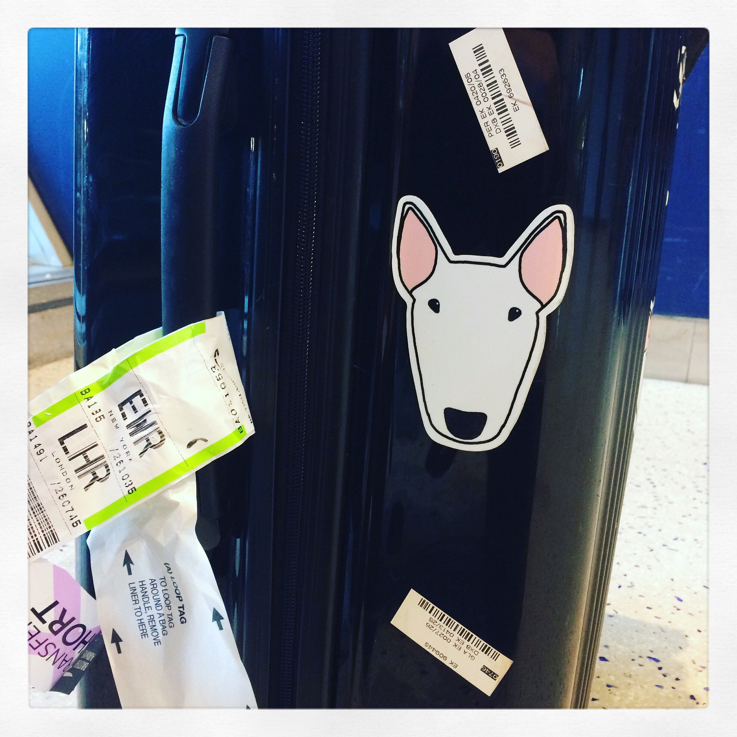 Big Bully Vinyl Car Sticker black or White - Etsy