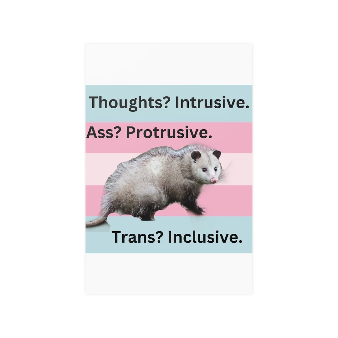 Trans Rights Cute Opossum Poster - Etsy