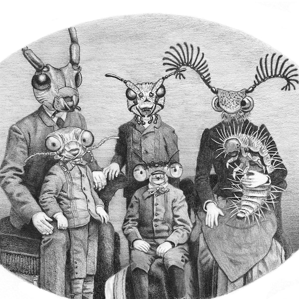 Mr Toad Victorian Wall Art, Vintage Animal Wall Art, Aesthetic Bookish ...