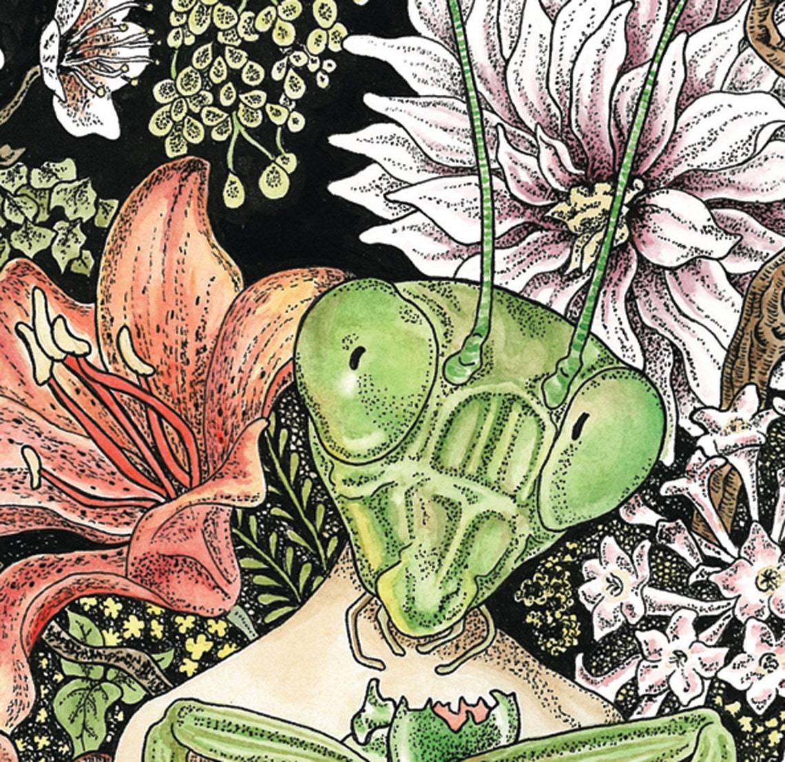 Man Eater- Print - Etsy