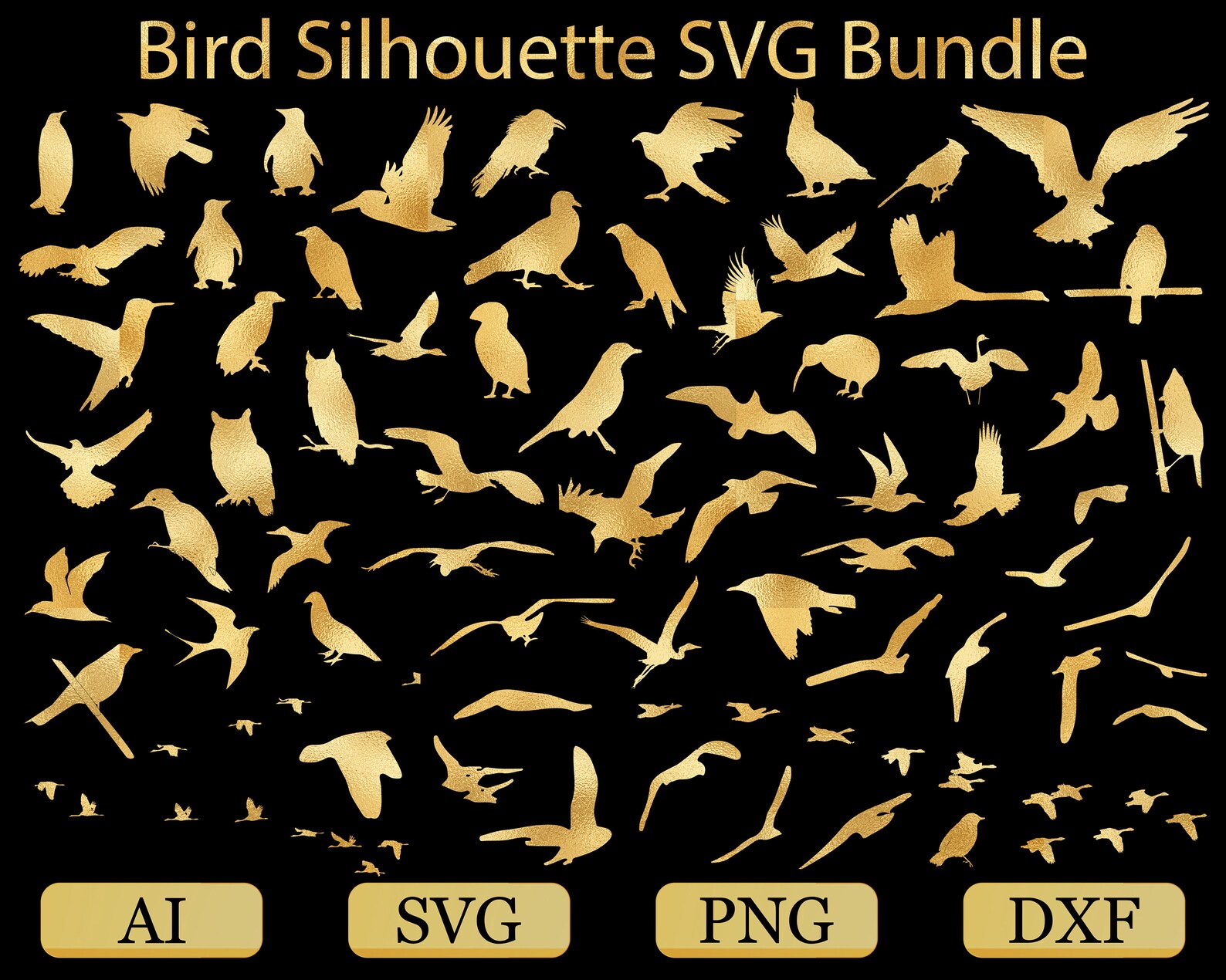Bird SVG Bundle / Birds Clipart / Bird Silhouette / Birds Svg - Etsy