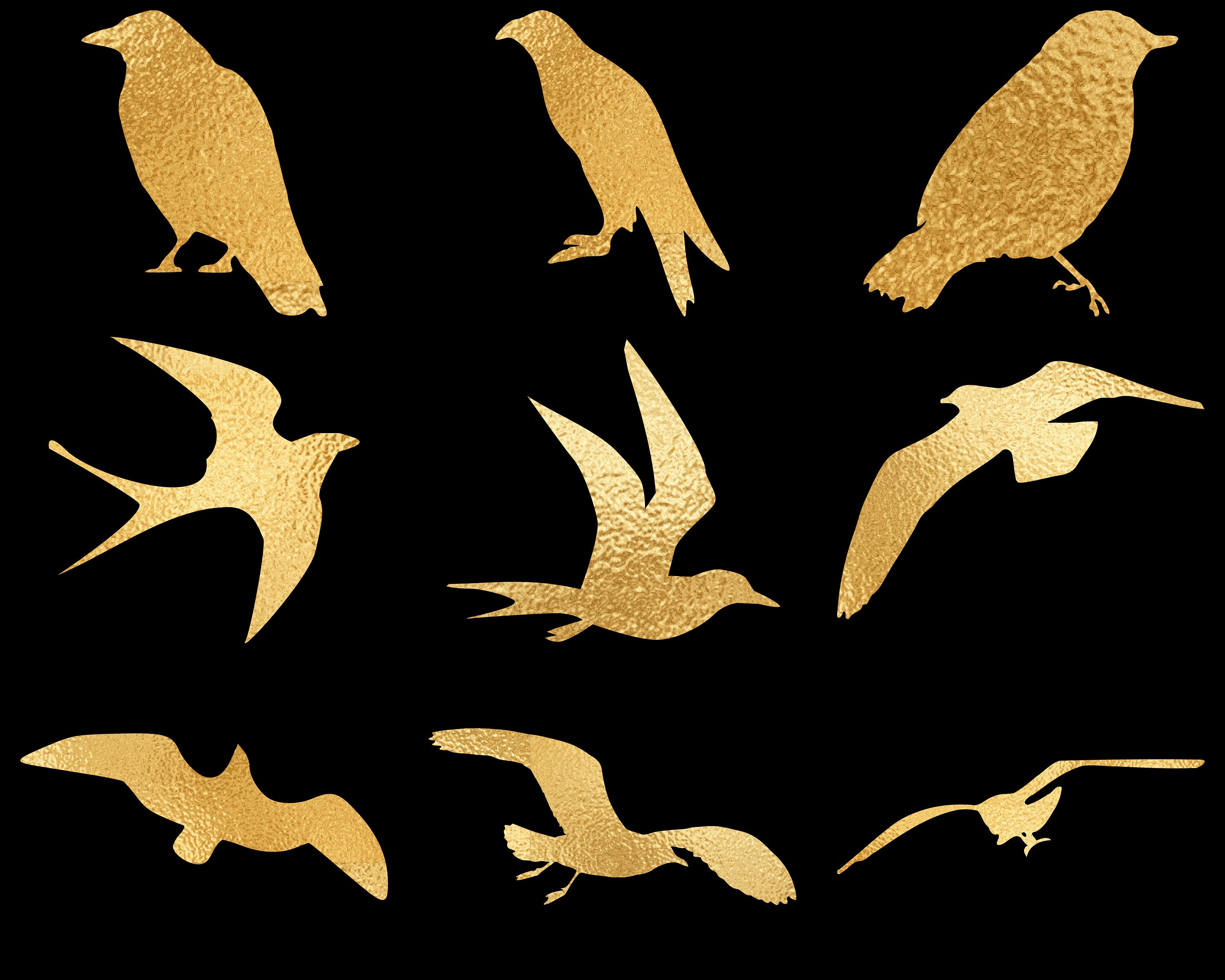 Bird SVG Bundle / Birds Clipart / Bird Silhouette / Birds Svg - Etsy