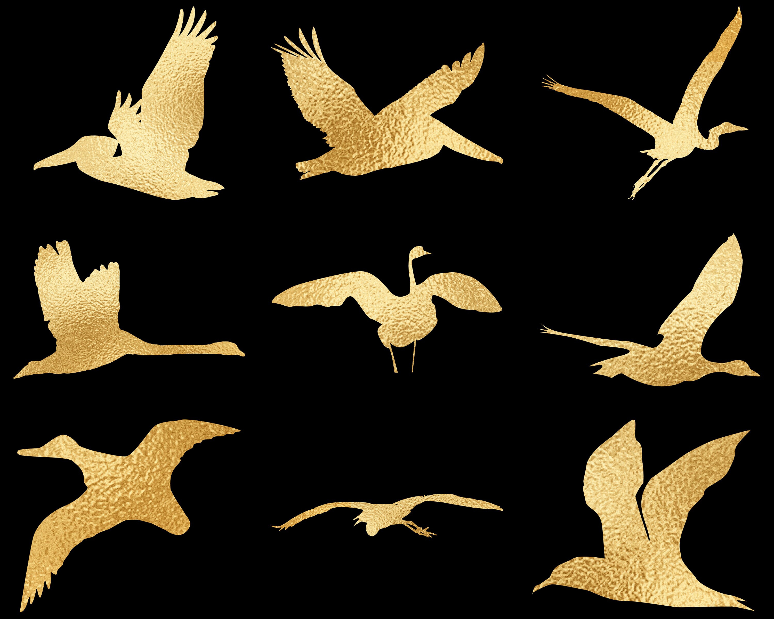 Bird SVG Bundle / Birds Clipart / Bird Silhouette / Birds Svg - Etsy