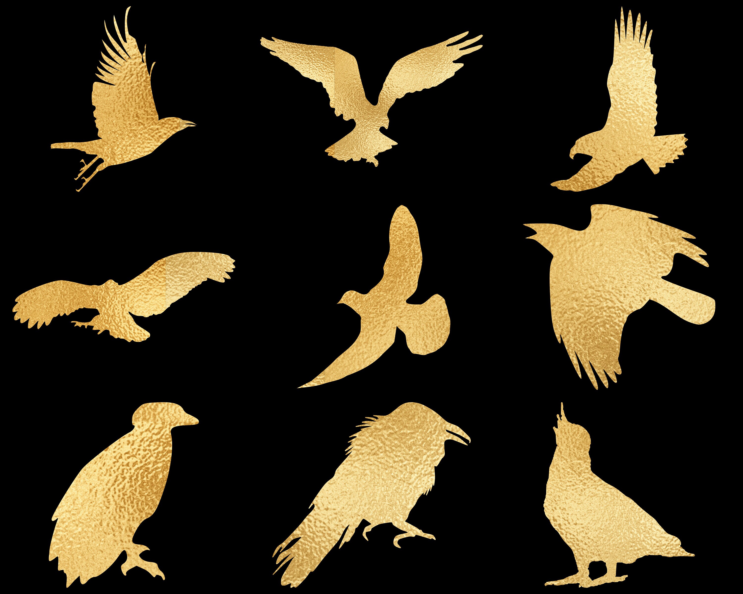 Bird SVG Bundle / Birds Clipart / Bird Silhouette / Birds Svg - Etsy