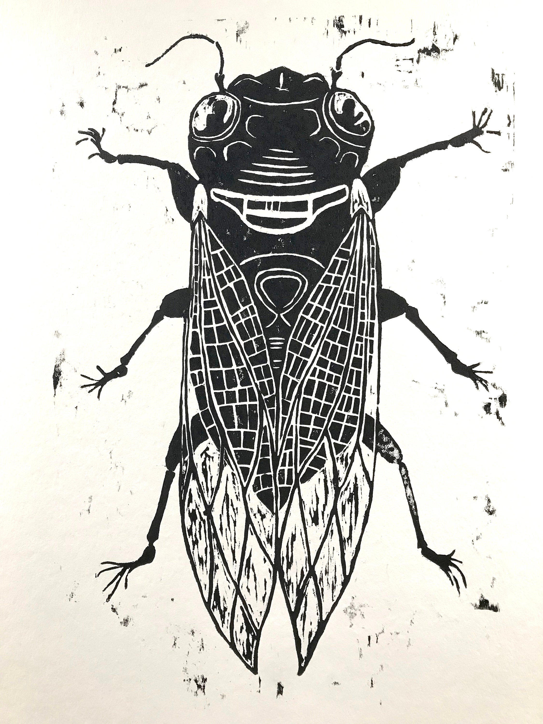 Cicada: Hand-pulled Woodcut Print - Etsy