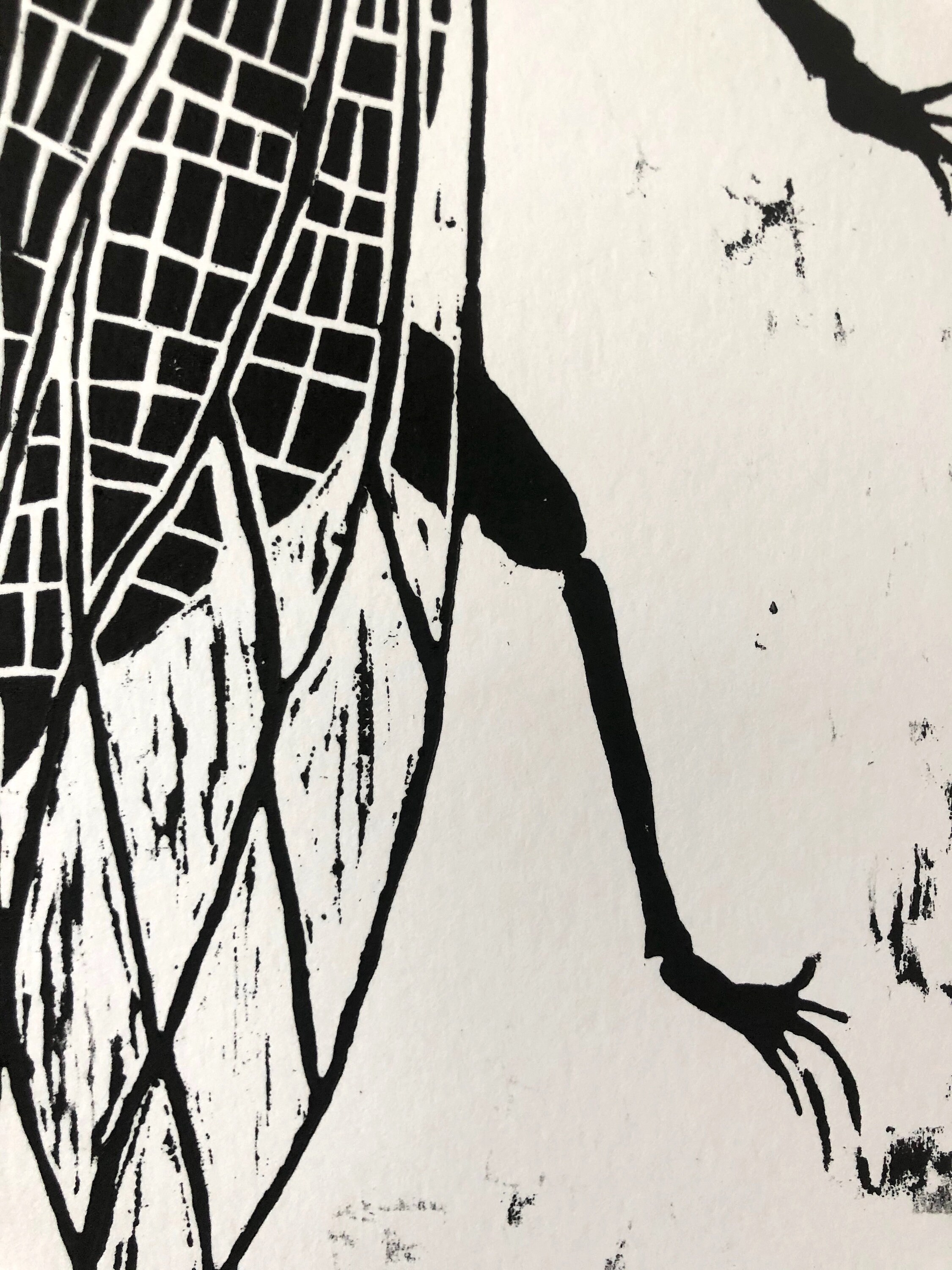 Cicada: Hand-pulled Woodcut Print - Etsy