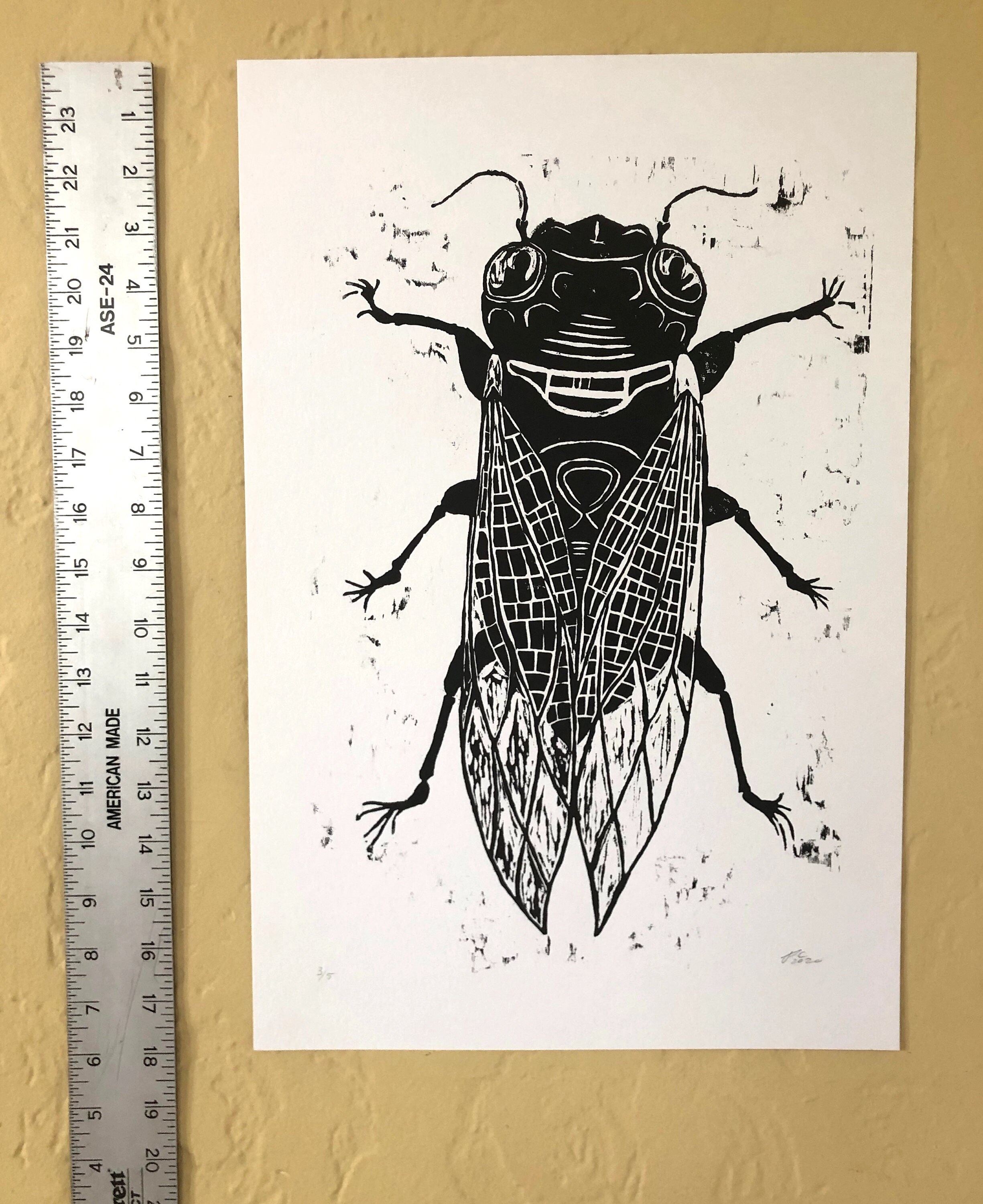 Cicada: Hand-pulled Woodcut Print - Etsy