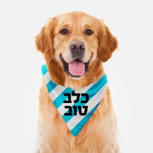 Jewish Dog - Etsy