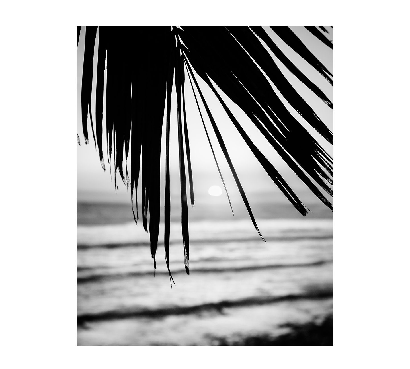 Beach Print Palm Tree Printable Art Black and White | Etsy