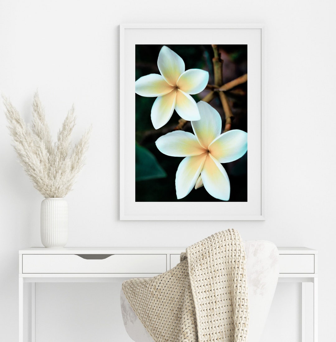Hawaii Printable Art, Plumeria Photography Digital Download, Hawaiian ...