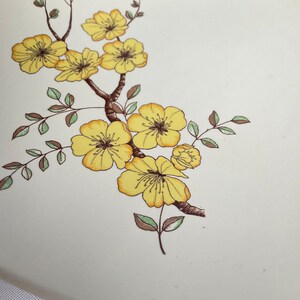 Carlton Ware Triangle Mimosa Pattern Plate, Serving Plate - Etsy
