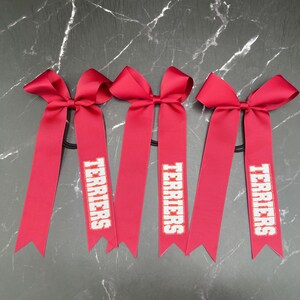 Custom College Cheer Bows Designed in Your Team Colors. Writing on ...