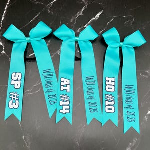 The Addy College Cheer Bows Designed in Your Team Colors. Writing on ...