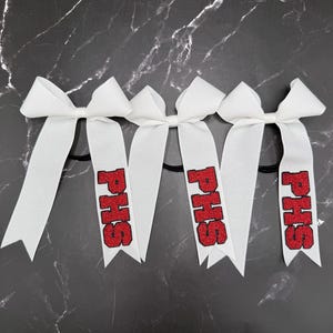 Light Glitter Dazzle College Bows With 6 Inch Tails. Writing on Bottom ...