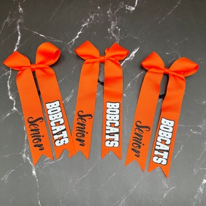 The Addy College Cheer Bows Designed in Your Team Colors. Writing on ...