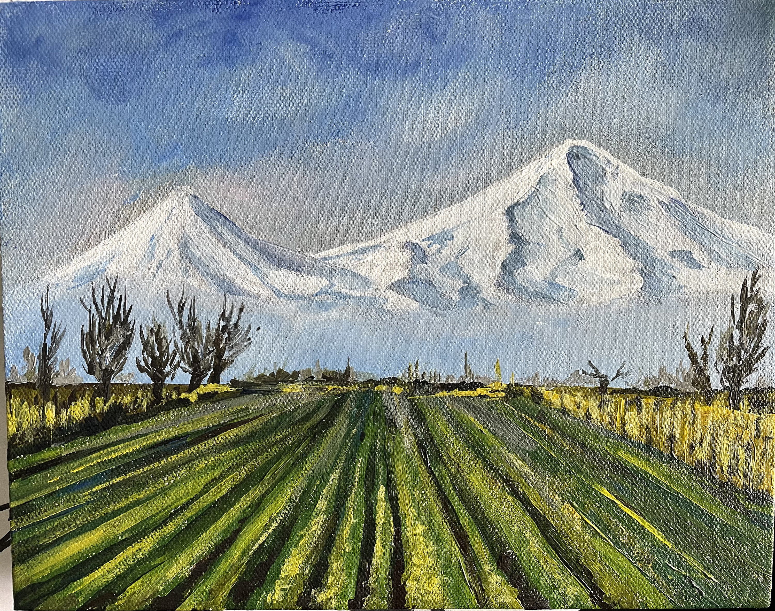 Mount Ararat Painting