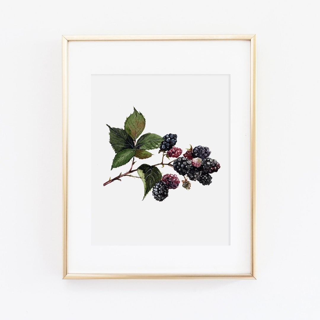 Blackberry Watercolor Print | Watercolor Fruit Print Set | Watercolor ...