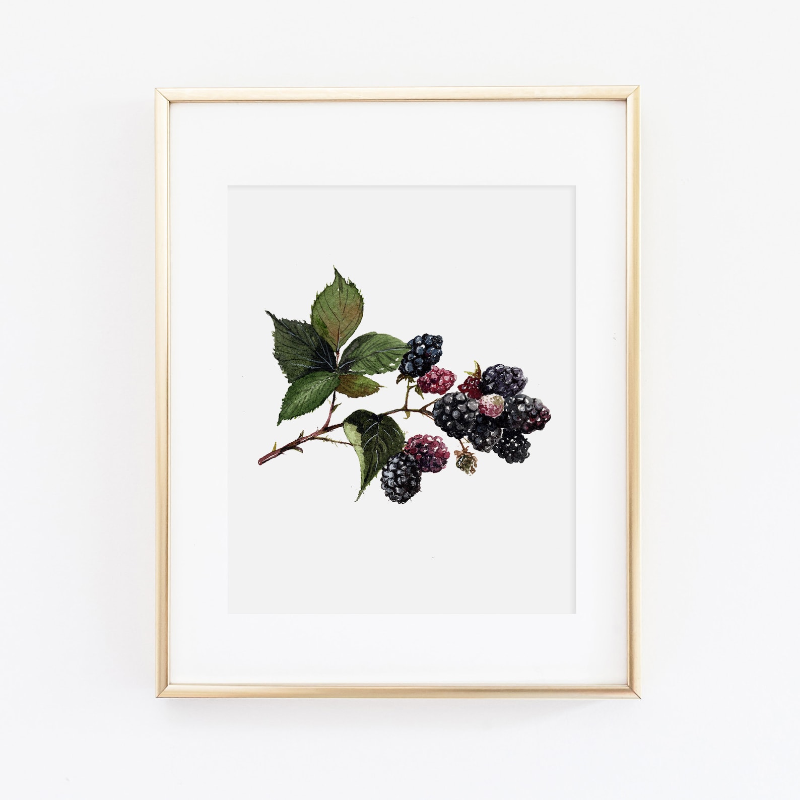 Blackberry Watercolor Print Watercolor Fruit Print Set - Etsy