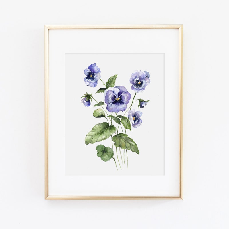 Pansy Print - Etsy