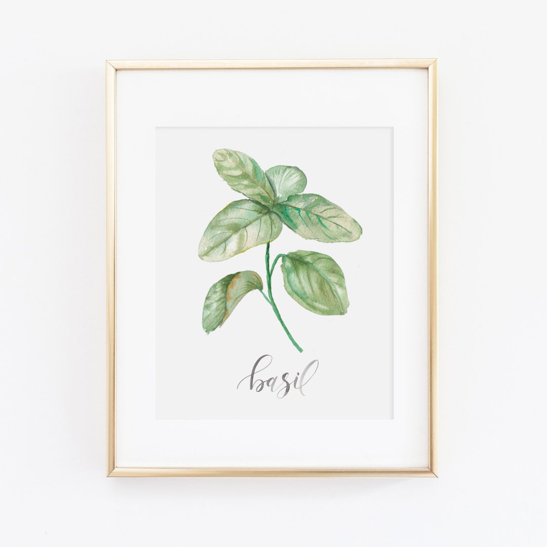 Basil Herb Watercolor Print | Watercolor Herb Print Set | Watercolor ...